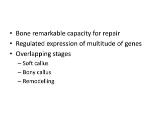 Bone healing | PPTX