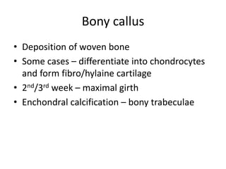 Bone healing | PPTX