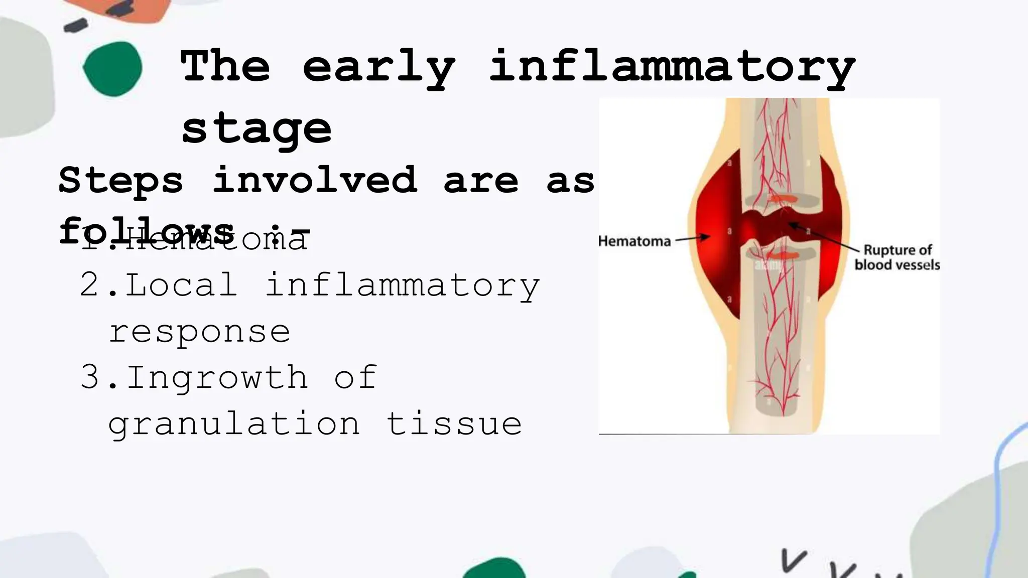 bone healing (AHN1).................pptx