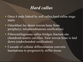 Bone healing by dr. raul bhardwaj | ODP