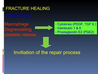 Bone Healing PATHOLOGY.ppt in radiography | PPT