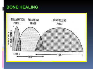 Bone Healing PATHOLOGY.ppt in radiography | PPT