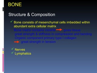 Bone Healing PATHOLOGY.ppt in radiography | PPT