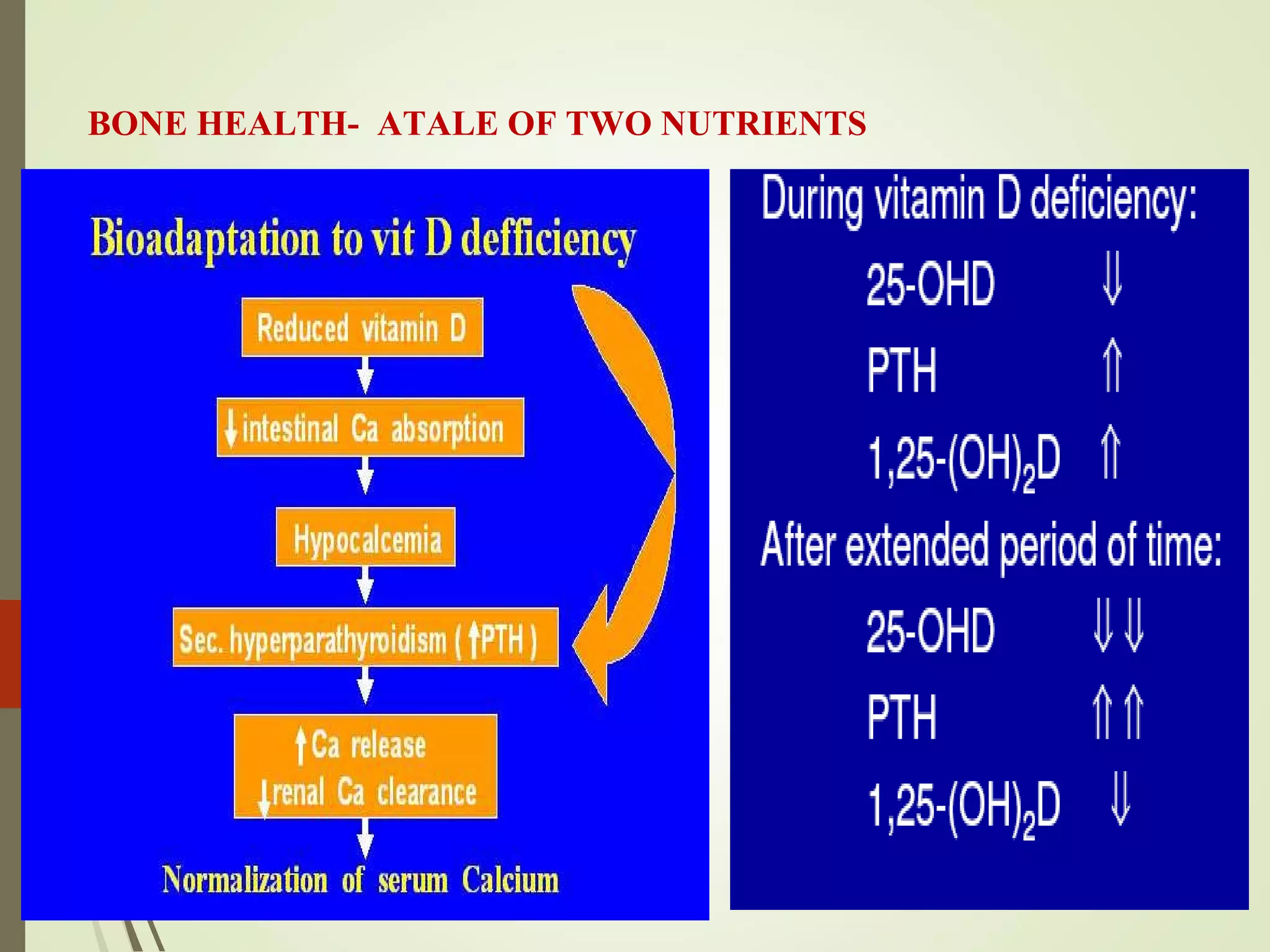 vitamin D & Bone health | PPT