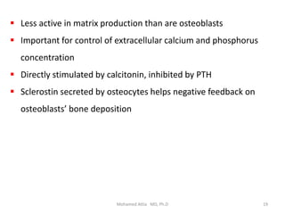 Basics of the bone histology | PPTX