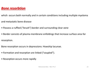 Basics of the bone histology | PPT