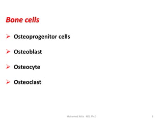 Basics of the bone histology | PPTX