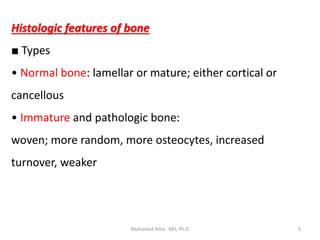 Basics of the bone histology | PPTX