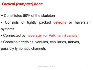 Basics of the bone histology | PPTX