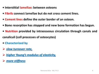 Basics of the bone histology | PPT