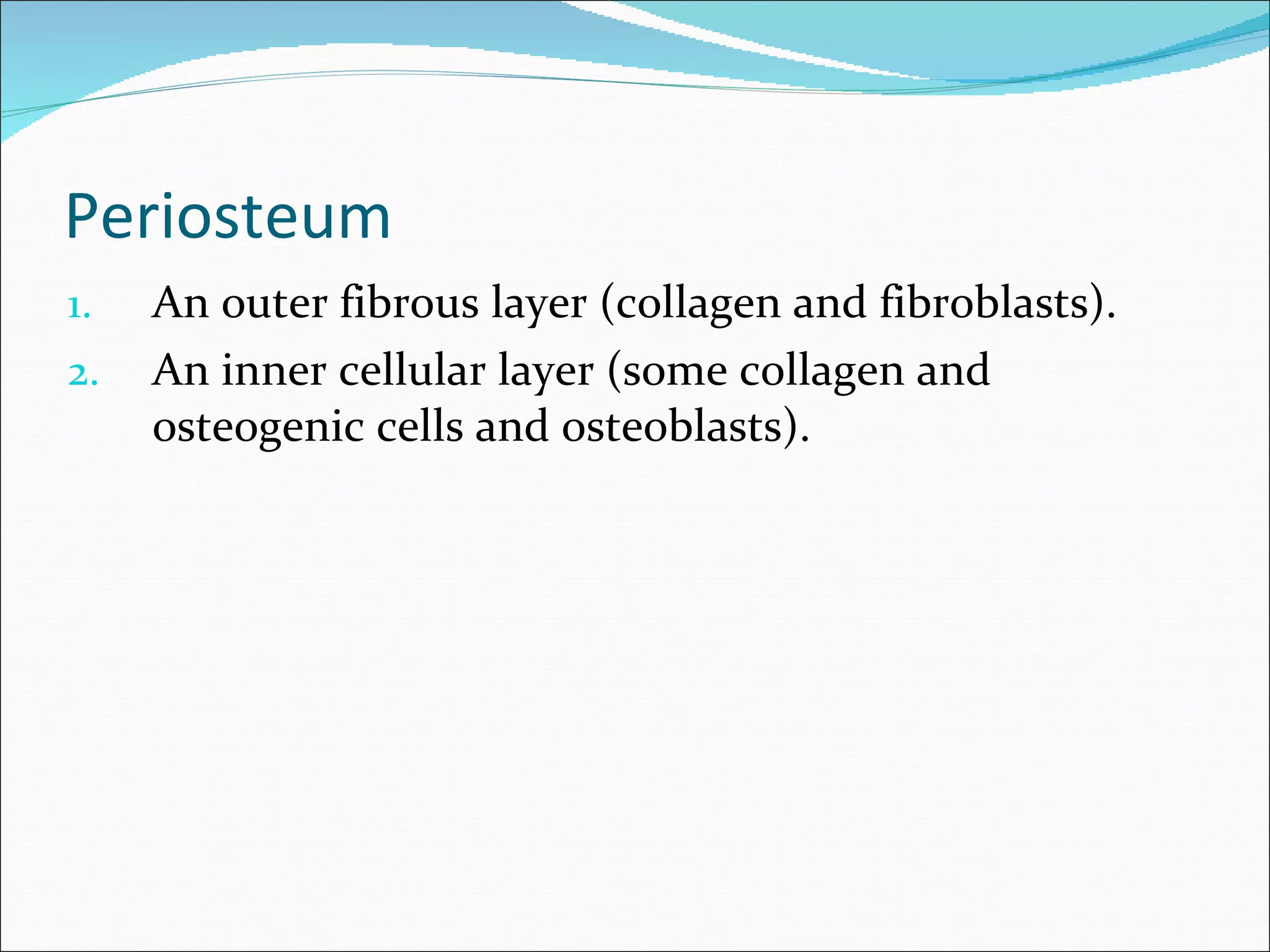 Bone Histology | PPT