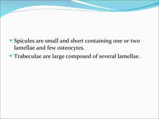 Bone Histology | PPT