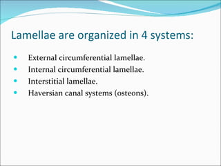 Bone Histology | PPT