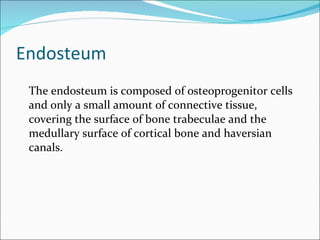 Bone Histology | PPT