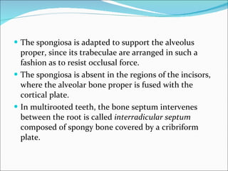 Bone Histology | PPT