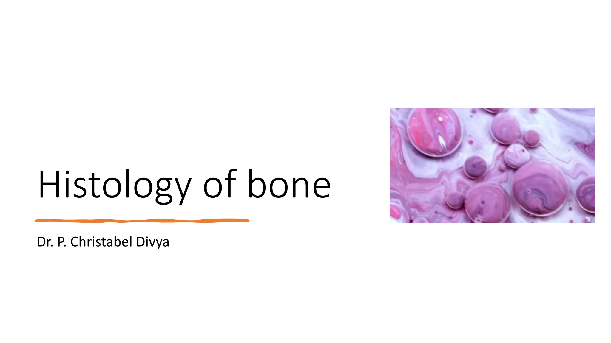 Bone histology.pptx