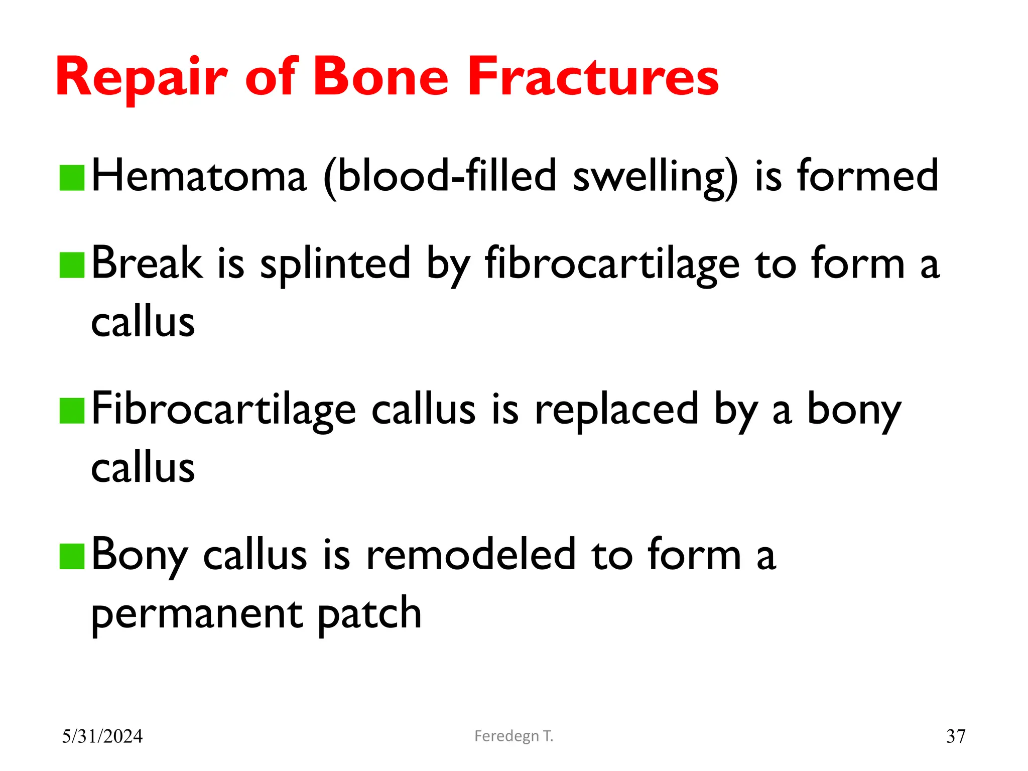 bone histology.pdf vcnsbmvjbk.jbv.kjsbvmnsbv | PDF