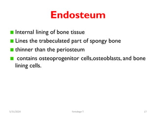 bone histology.pdf vcnsbmvjbk.jbv.kjsbvmnsbv | PDF