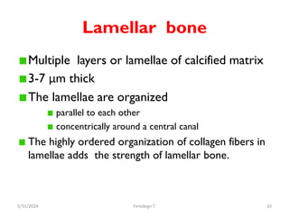 bone histology.pdf vcnsbmvjbk.jbv.kjsbvmnsbv | PDF