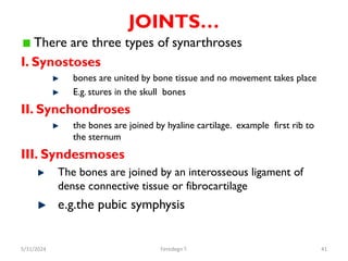 bone histology.pdf vcnsbmvjbk.jbv.kjsbvmnsbv | PDF