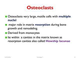 bone histology.pdf vcnsbmvjbk.jbv.kjsbvmnsbv | PDF