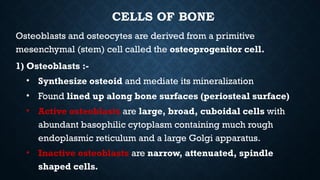 Bone Histology and benign bone tumo.pptx