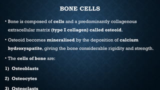 Bone Histology and benign bone tumo.pptx