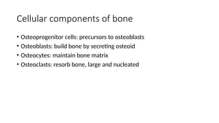 BONE HISTOLOGY......................pptx