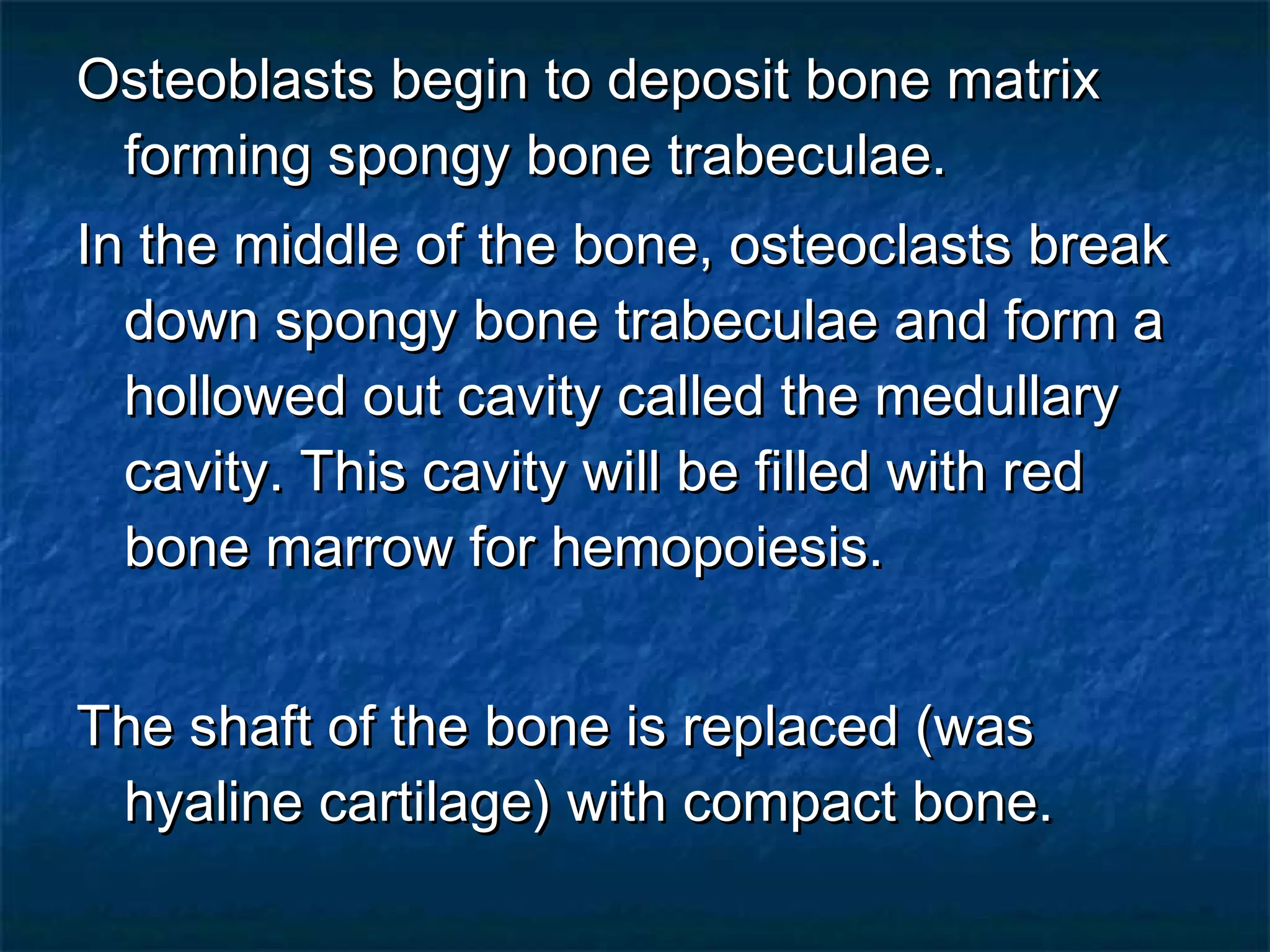 Bone histology amir | PPT