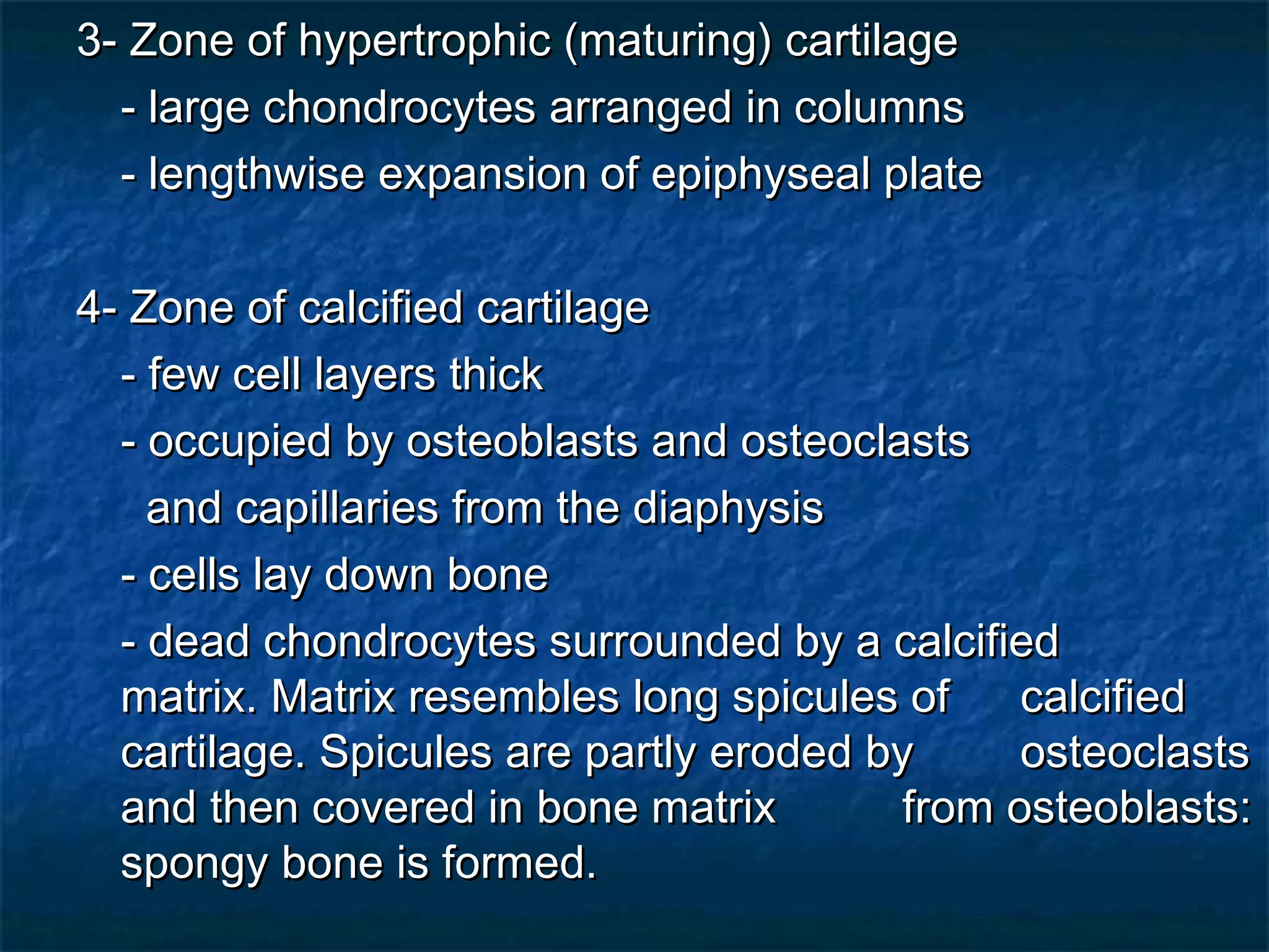 Bone histology amir | PPT
