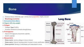 Bone Histology by Dr. Rabia I. Gandapore.pptx