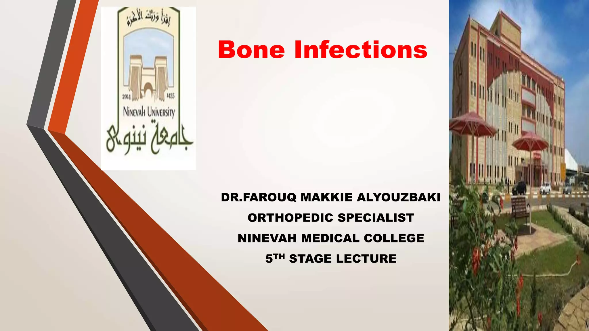 Bone infections...5 th stage lecture(dr.farouk) | PPTX | Bone and Joint ...