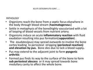 BONE INFECTIONS.pptx