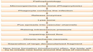 BONE INFECTIONS 1.pptxdddddddddddddddddddd | PPTX
