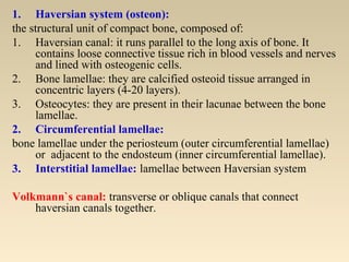 Bone lecture | PPT