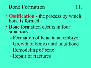Bone_lecture_medical_2013.ppt