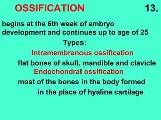 Bone_lecture_medical_2013.ppt