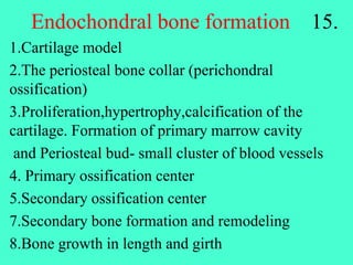 Bone_lecture_medical_2013.ppt
