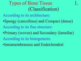 Bone_lecture_medical_2013.ppt