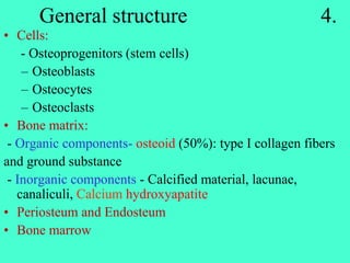 Bone_lecture_medical_2013.ppt