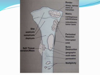 Bone lesion approach | PPTX