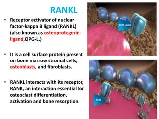 MECHANISM AND MEDIATORS OF BONE DESTRUCTION | PPTX