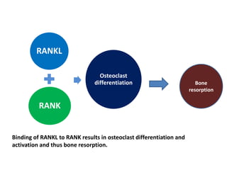 MECHANISM AND MEDIATORS OF BONE DESTRUCTION | PPTX