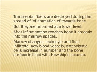 Bone loss and patterns of bone destruction- Dr Harshavardhan Patwal | PPT