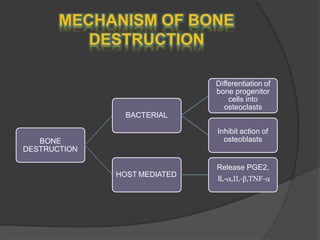 boneloss and patterns of bone destruction-190216140747.pptx