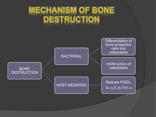 Bone loss and patterns of bone destruction | PPTX | Bone and Joint ...