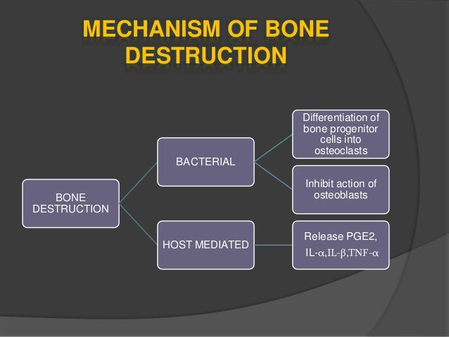 Causes Of Bone Disintegration – Syndrome de désintégration de la tumeur ...