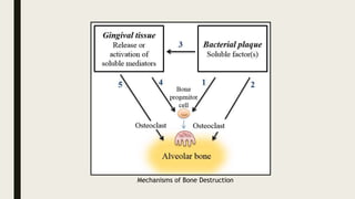 BONE LOSS AND PATTERNS OF BONE DESTRUCTION.pptx
