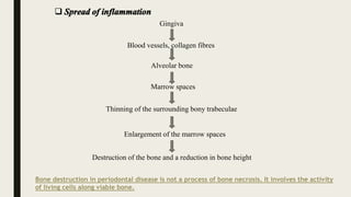 BONE LOSS AND PATTERNS OF BONE DESTRUCTION.pptx
