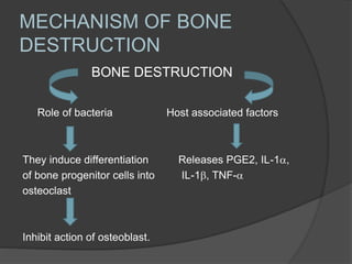BONE LOSS AND PATTERNS OF BONE DESTRUCTION.pptx